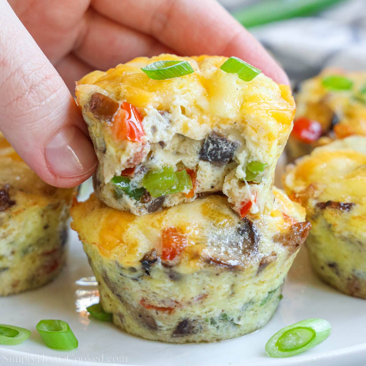 Egg Bites - Simply Home Cooked